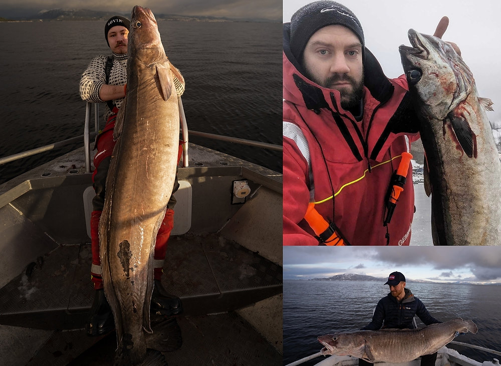 Over 100 fiskere med godkjent fisk – fire mann med 1000+ poeng