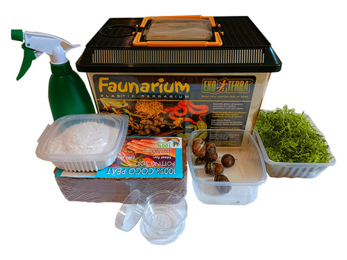 Kit escargots | Petits-elevages