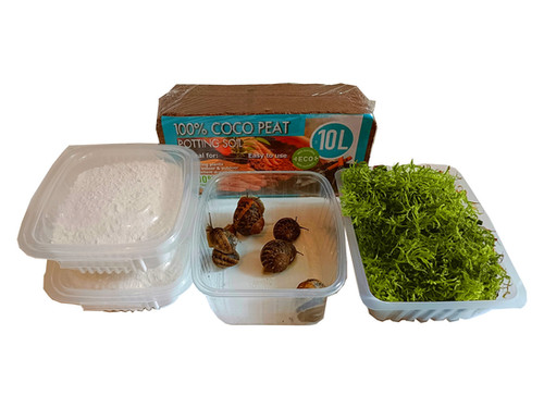 Recharge kit escargots | Petits-elevages
