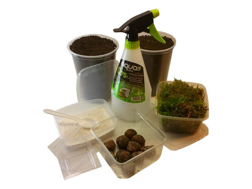 Kit escargots sans terrarium | Petits-elevages