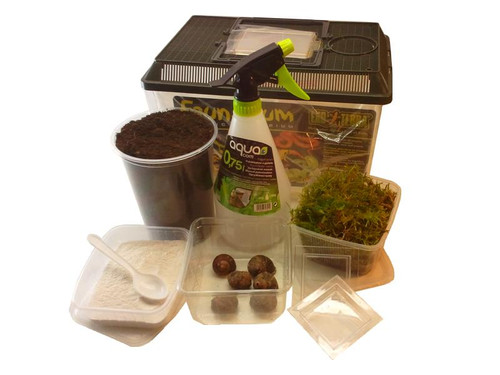 Kit escargots | Petits-elevages