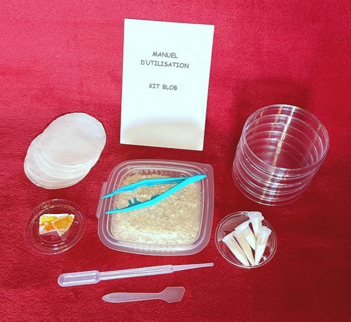 Kit d'élevage blob sans pierre | Petits-elevages