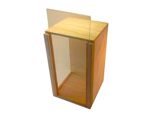 Vivarium phasmes | Petits-elevages