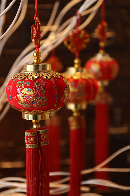 Chinese New Year in Bengaluru