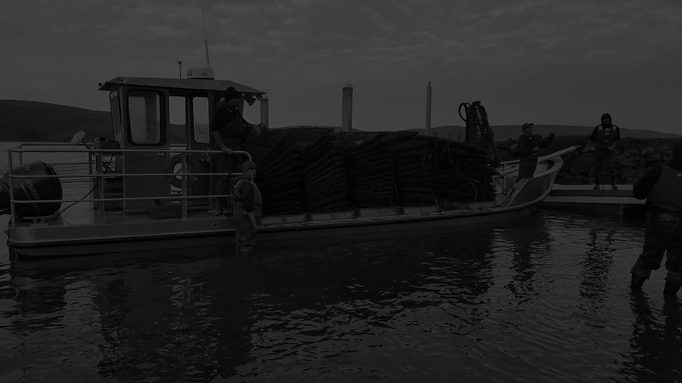 Aquaculture | Snow and Company