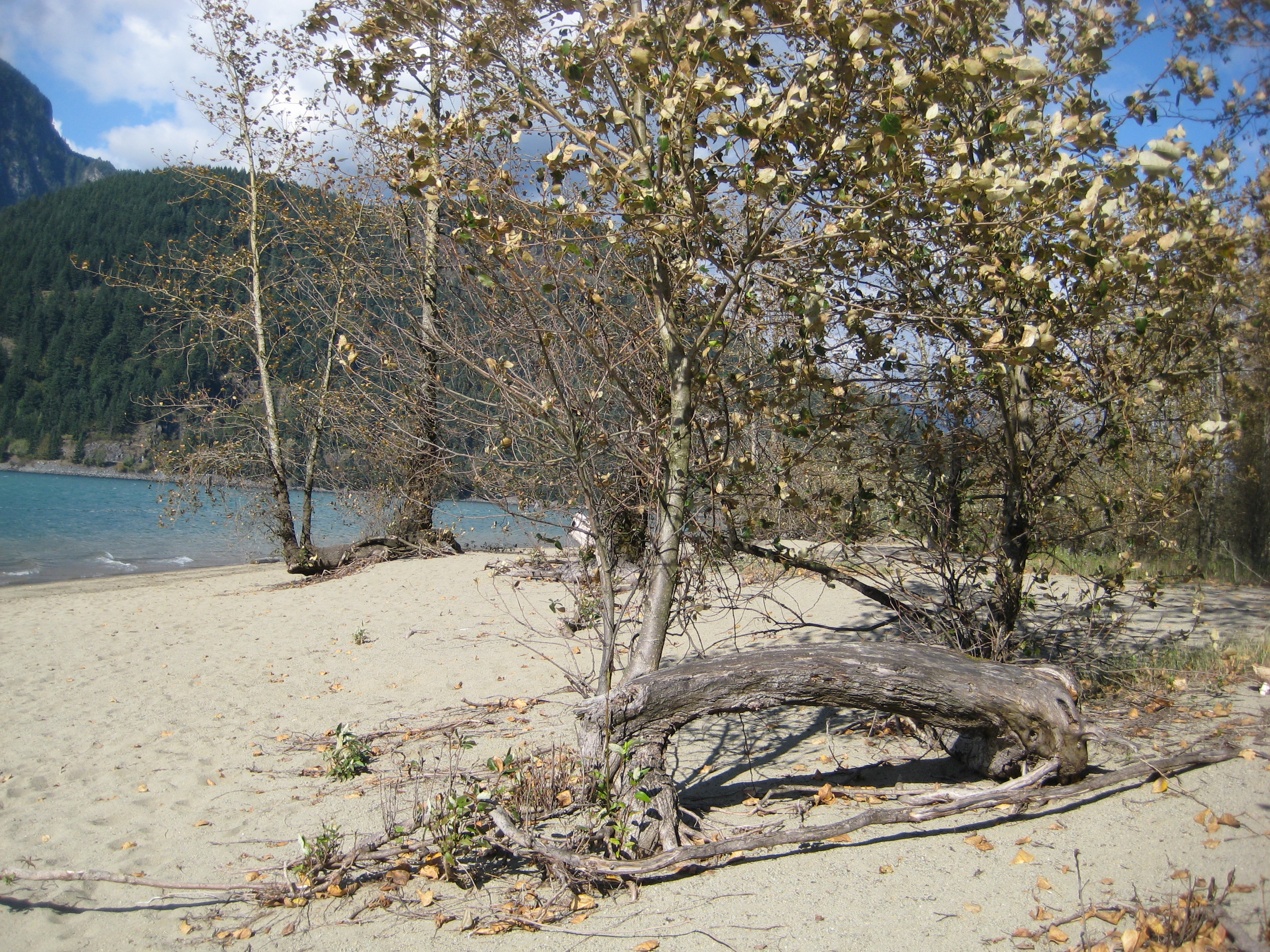 Woodside Inn/ Hotels Harrison Mills, British Columbia