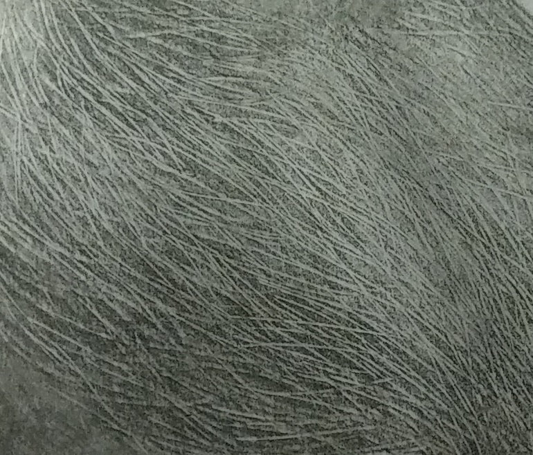 Cómo dibujar pelo de animal