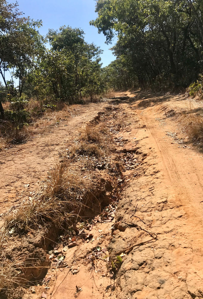 Mt. Mumpu: Climbing Zambia's Tallest Mountain