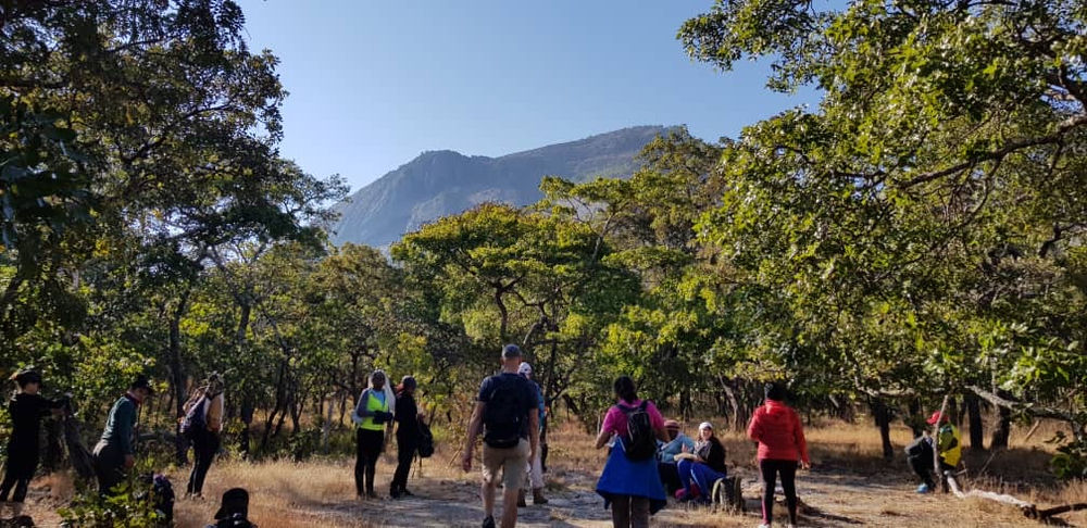 Mt. Mumpu: Climbing Zambia's Tallest Mountain