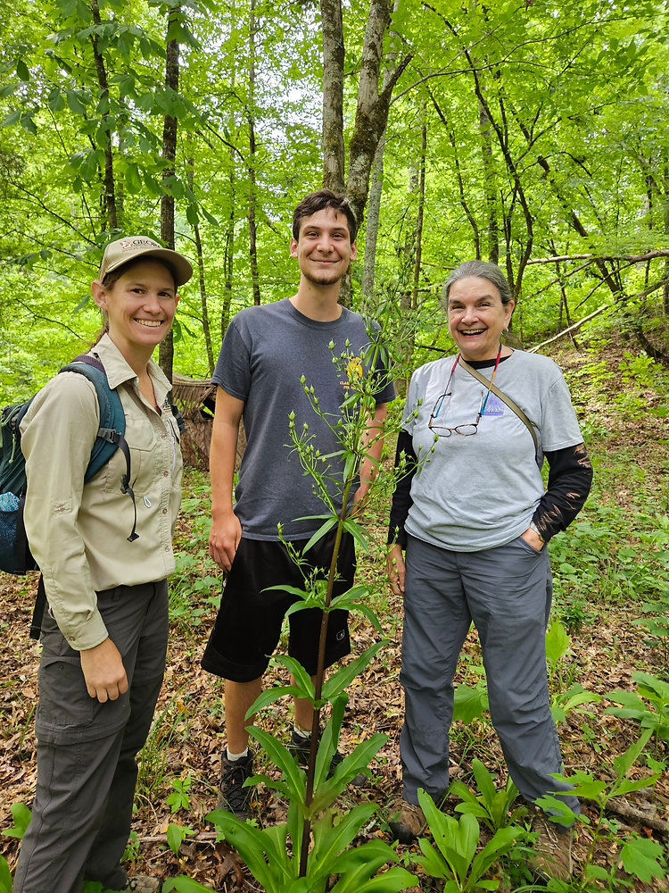 Rare American Columbo plants in Elbert County!