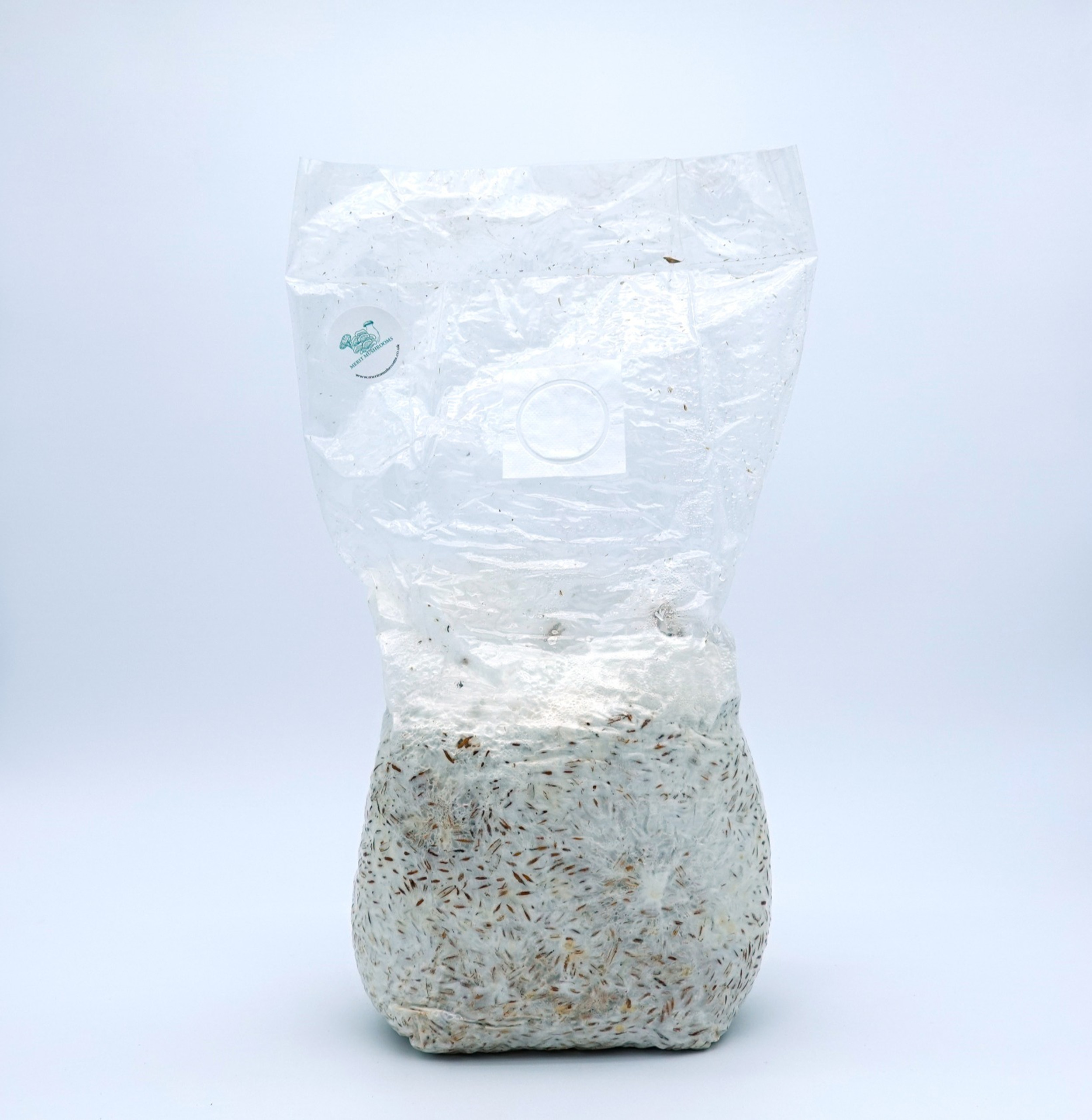 Mushroom Spawn & Mycelium | Buy Online | Merit Mushrooms