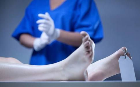 Necropsia y sus objetivos