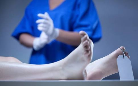 Necropsia y sus objetivos