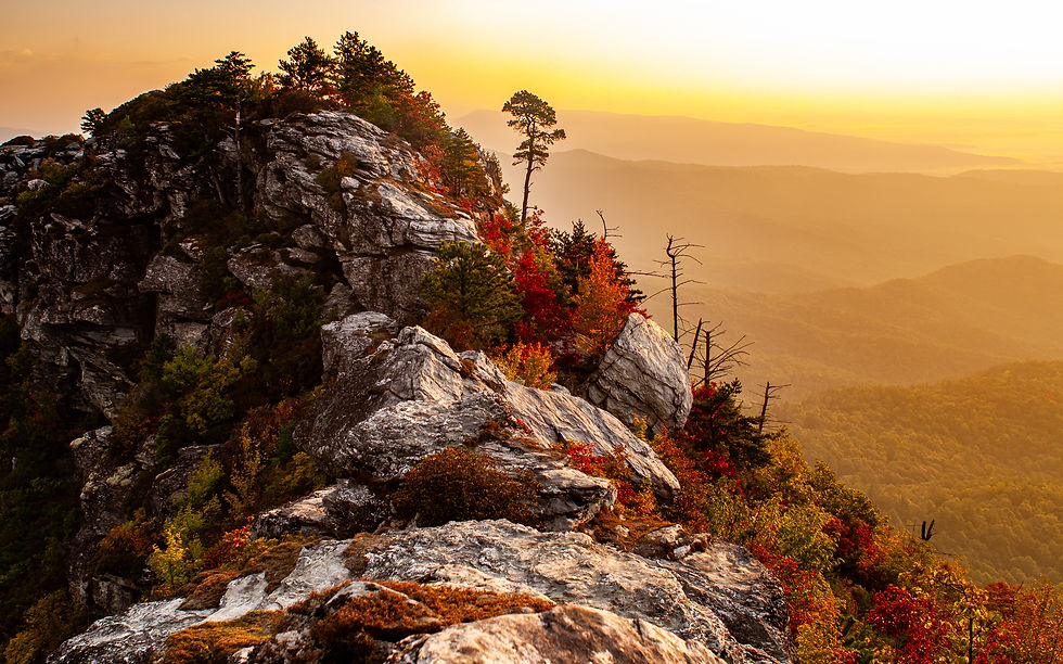 Southern Appalachian Wilderness Amateur Photo Contest WINNERS!