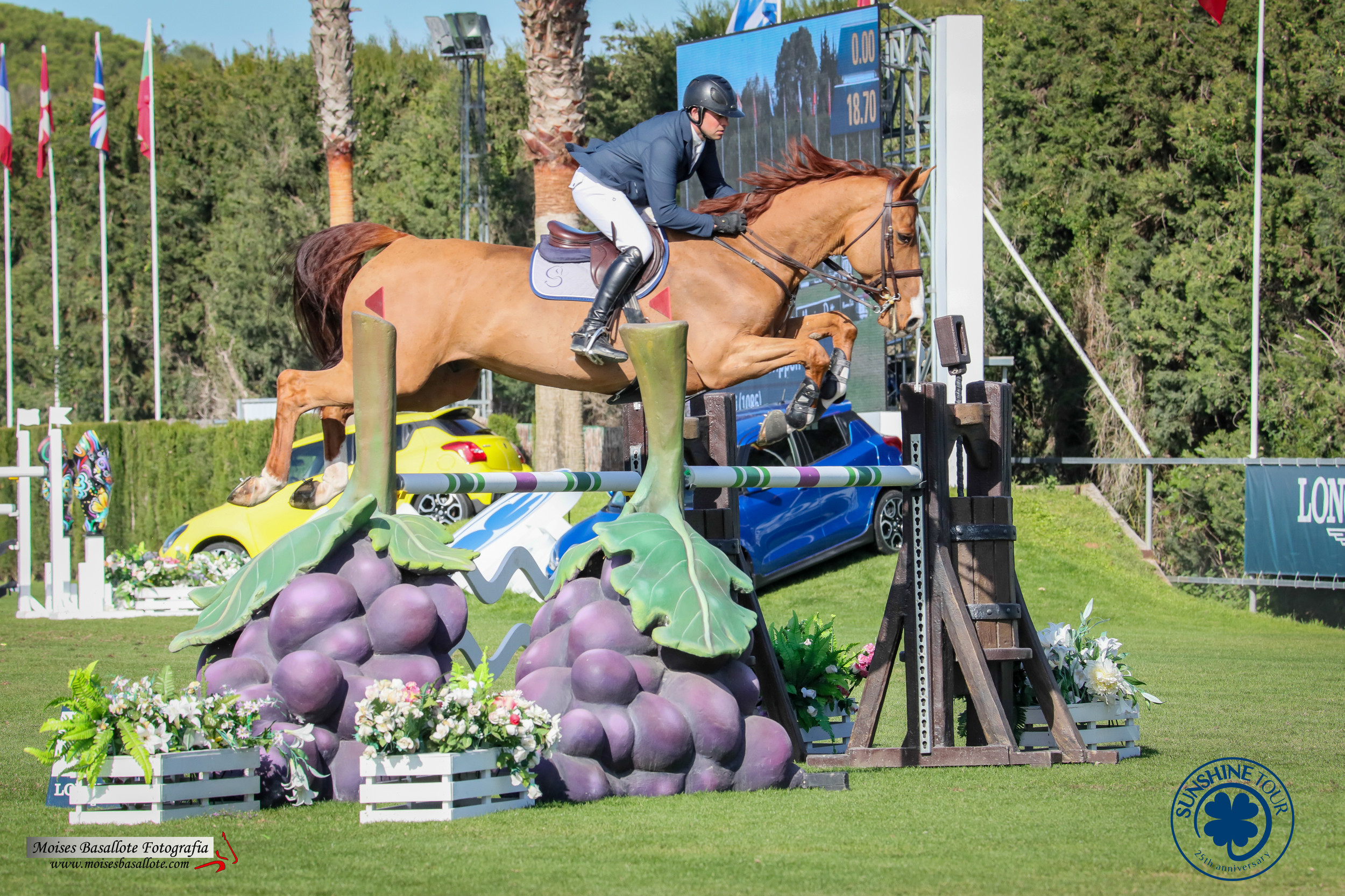 About us|CS Showjumpers|Buntingford