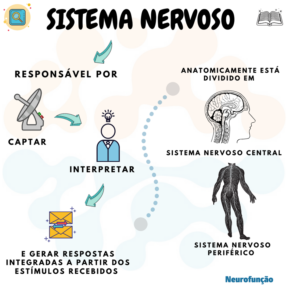 SISTEMA NERVOSO
