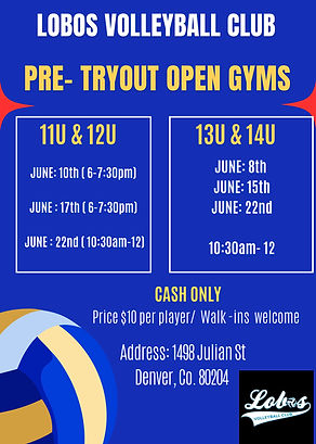 Lobos Volleyball Club