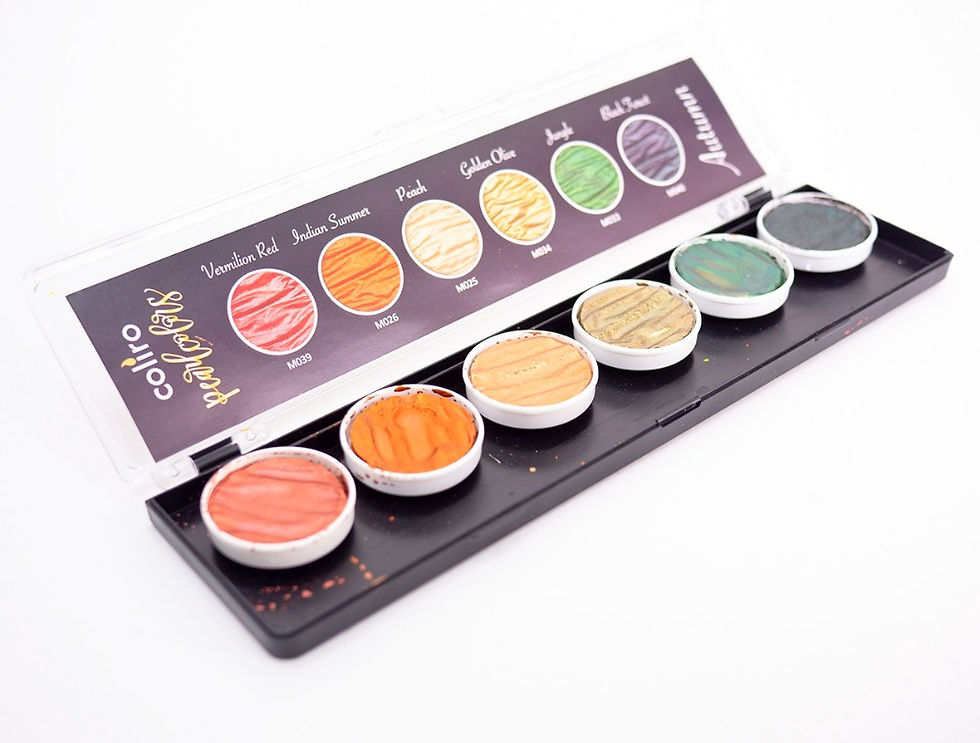 Nibs & Inks | ModernCalligraphyCo.