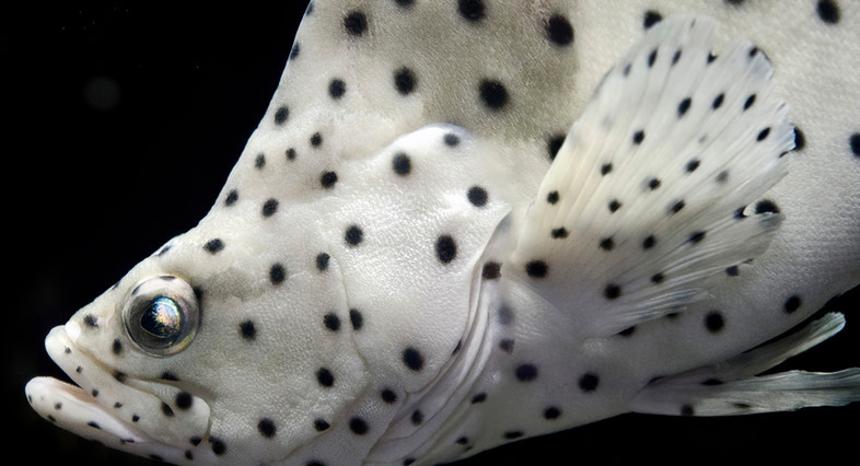 Land and Sea | Jane Baron Website