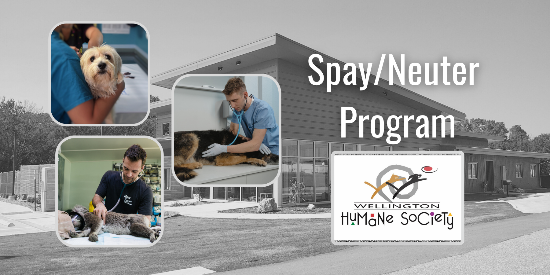 SPAY/NEUTER PROGRAM | Wellington Humane