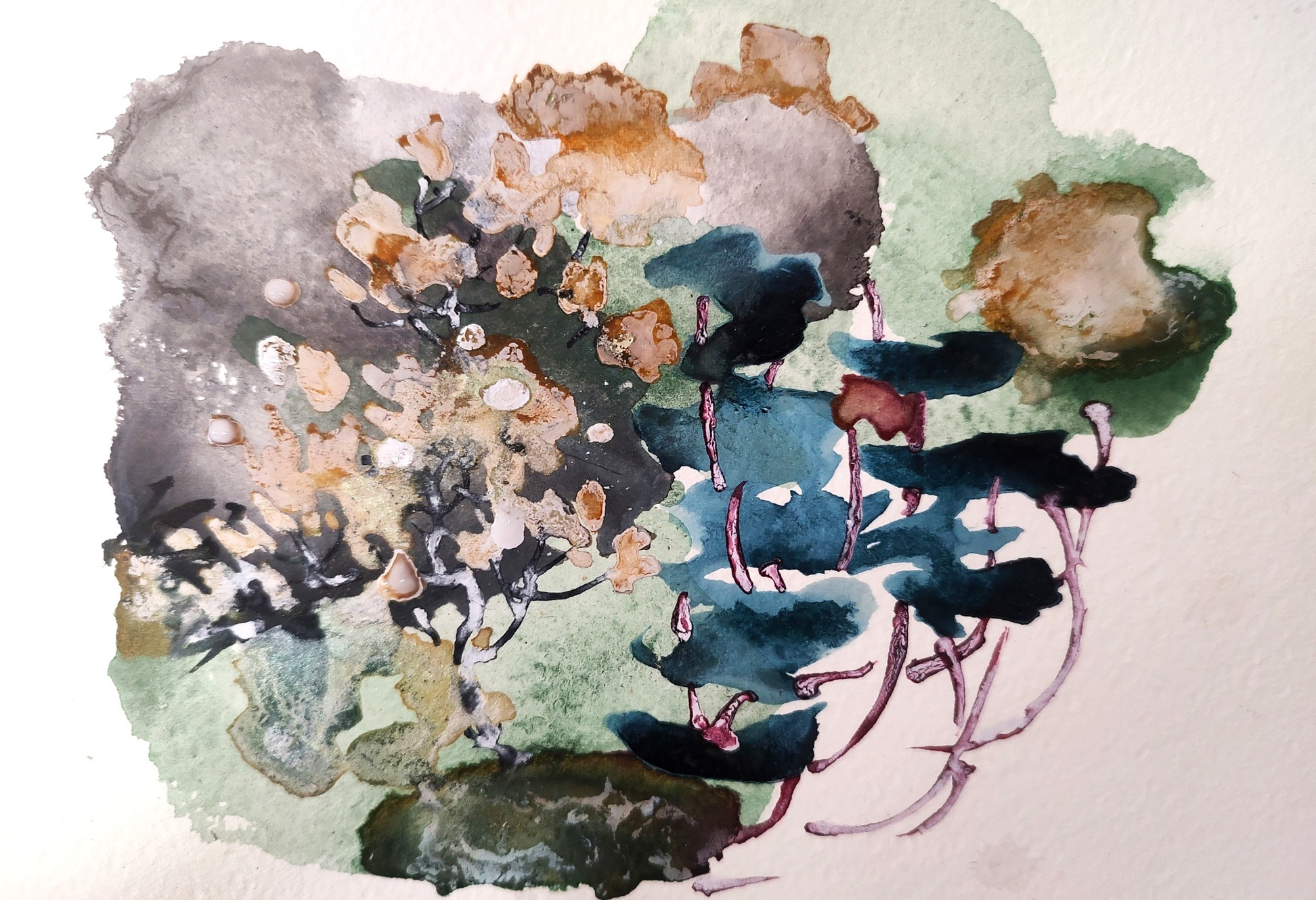 Paintings | Floating Rock