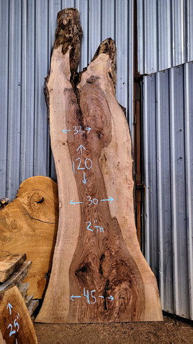 English Walnut Live Edge Slab 28-45x120x2"
