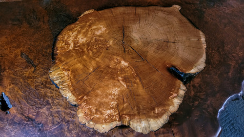 Juniper Burl Charred Live Edge Round Table Top 27x2.25