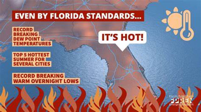 It's hot outside: The Importance of Having a Generator in Florida