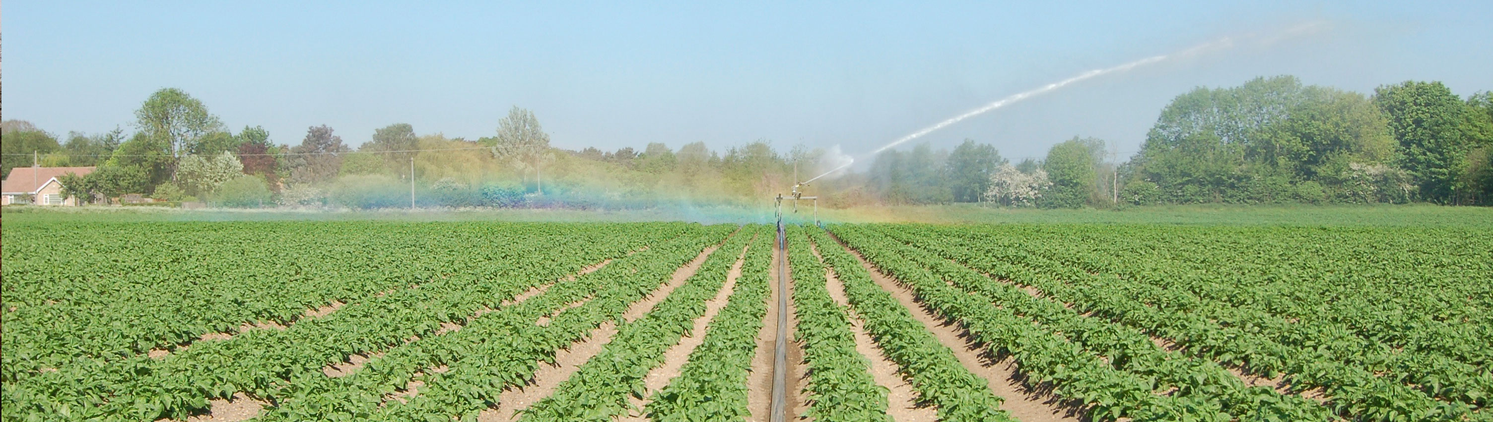 RCB Farms Suffolk | rc-browne