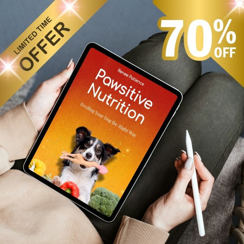 Pawsitive Nutrition: Feeding Your Dog the Right Way | Paws Academy