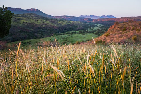 Events and Lodging | Highfrontier | Far West Texas