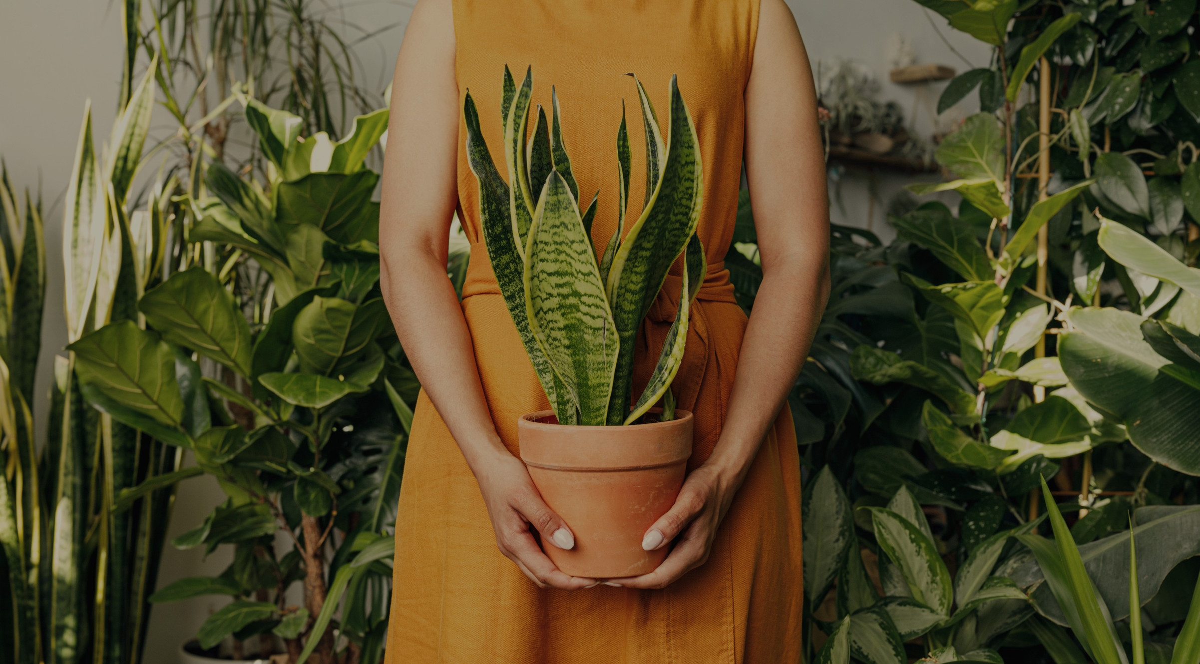 ABOUT ME | Brand Botanist