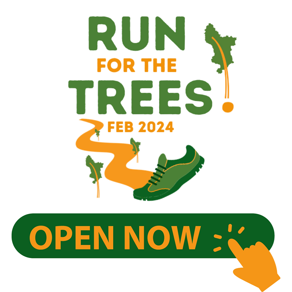 Peak Running | Running Adventures and Coaching