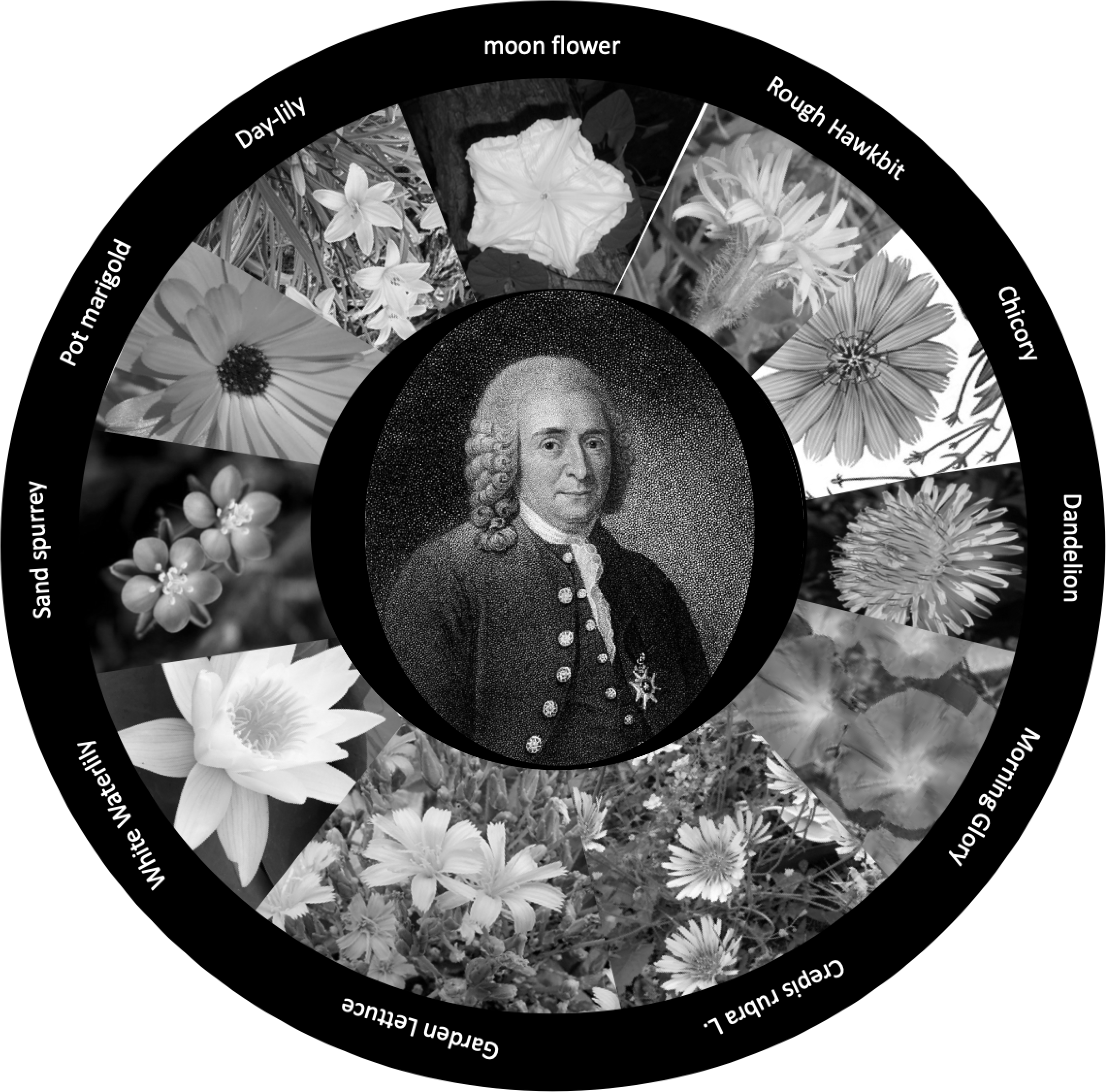 Resources for schools | Bioclocks Uk