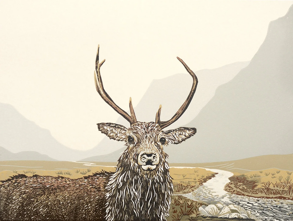Nina Sage - Young Stag - Original Linocut | churchstreetgallery