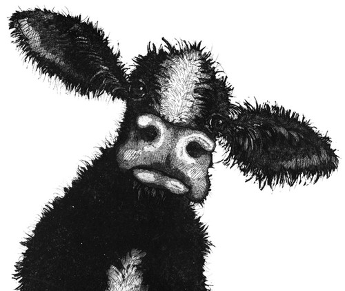 Alison Read - Josephine | churchstreetgallery