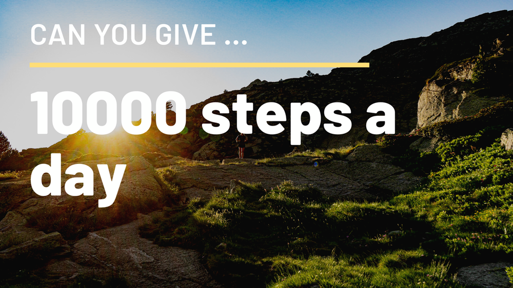 10000 steps