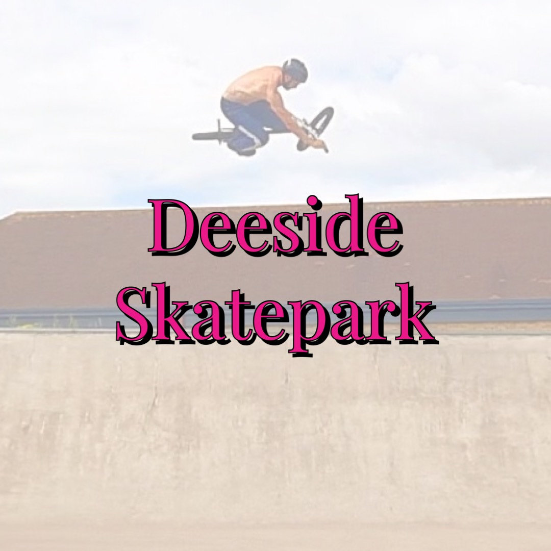 Deeside SKATEPARK Private Hire | Smiley's Flight Club
