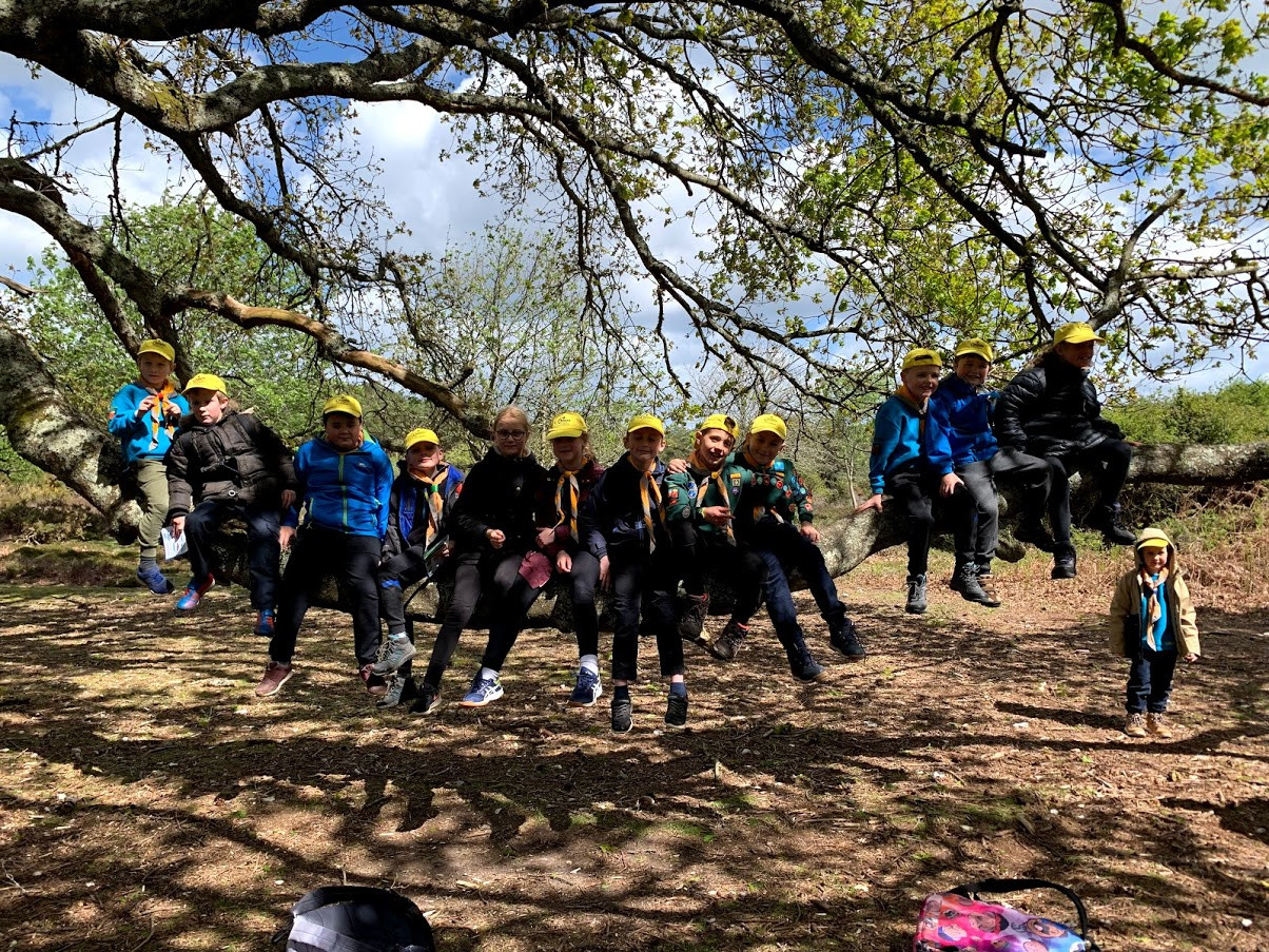 Scout Group | 14th Aldershot (Pegasus) Scout Group | Aldershot