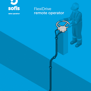 Integrity Controls Vendor Focus: Sofis