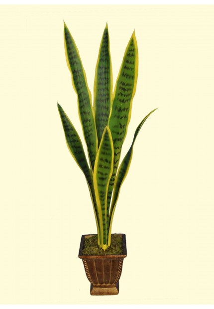 Plantas y Palmas Artificiales