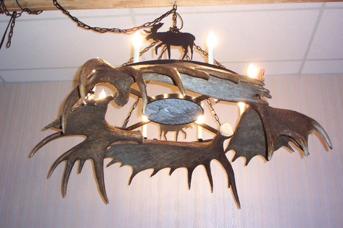 Maine Antler Art | Moose Antler Home Accessories