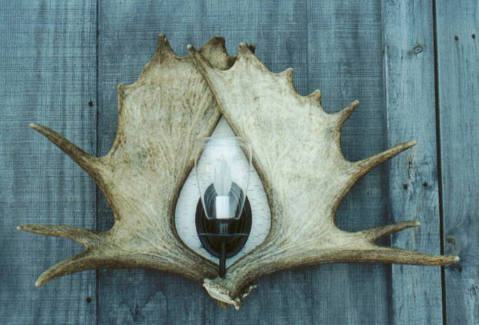 Maine Antler Art | Moose Antler Home Accessories