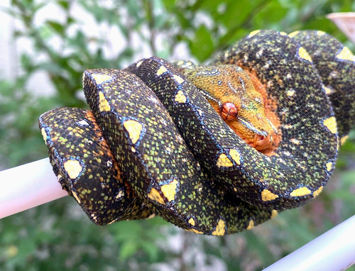 Shop All Products at Tree Gems LLC Online Store