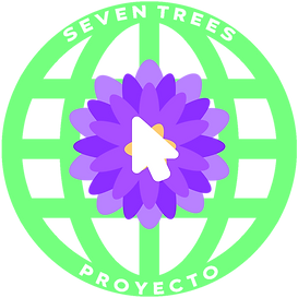 Inicio | 7Trees