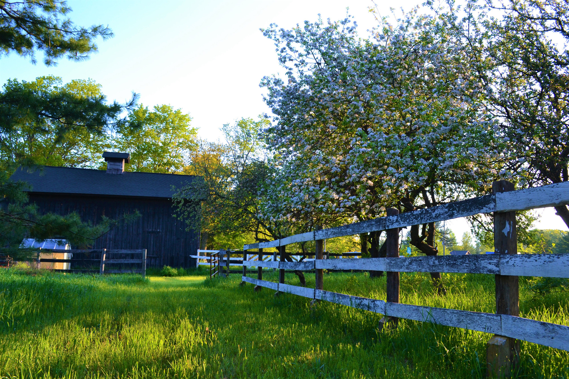 Black Barn Farm, Cross Village