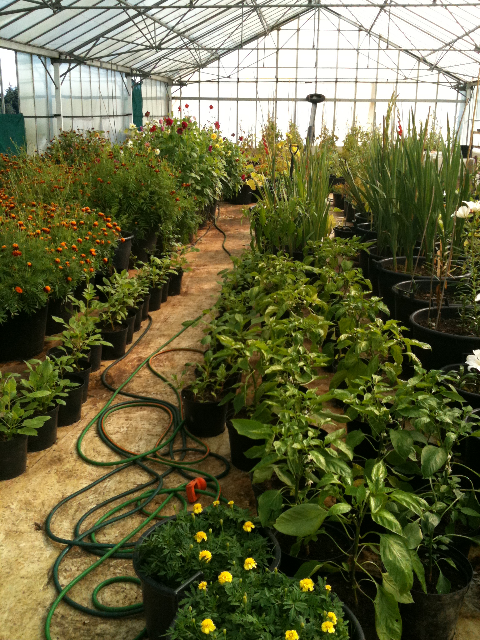 ISKCON Scotland & Krishna Eco Farm