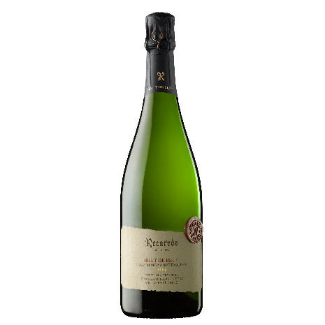 西班牙頂級 Recaredo CAVA 2004 | pjwine