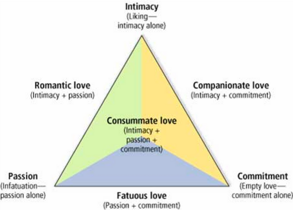 Triangular Theory of Love Between Customers and Products