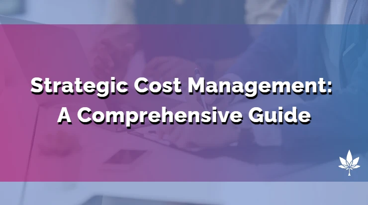 Strategic Cost Management Strategies: A Comprehensive Guide